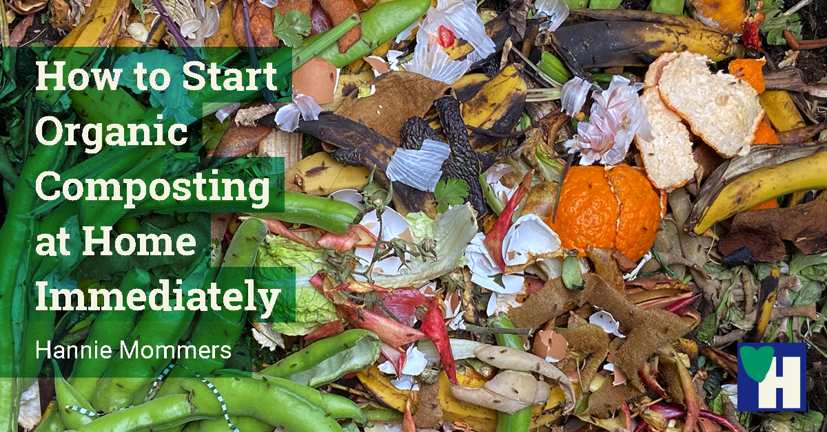 How to Start Organic Composting at Home Immediately