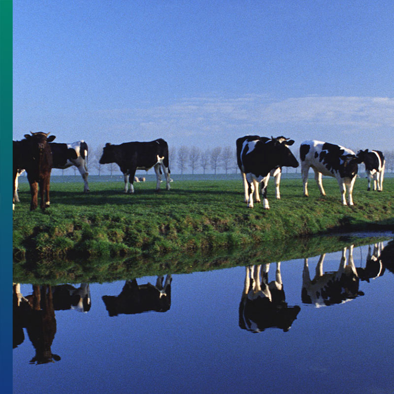 The Advantages of Organic Farming Outweigh Conventional Farming