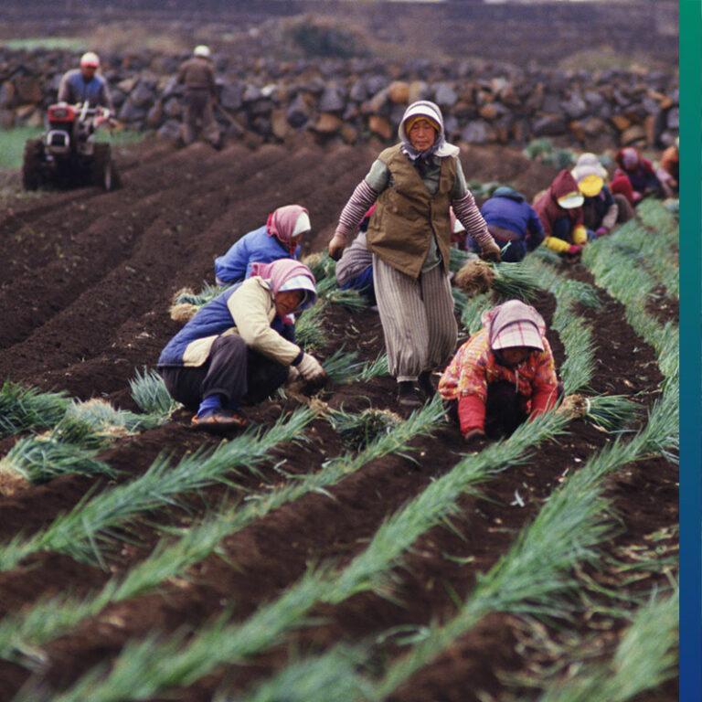 Conventional Farming versus Organic Farming, unfair comparison