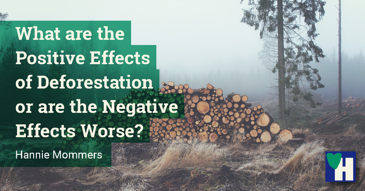 What are the Positive Effects of Deforestation or are the Negative ...