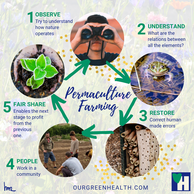 What is permaculture farming