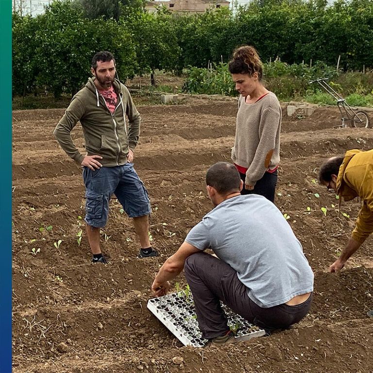 What is permaculture farming