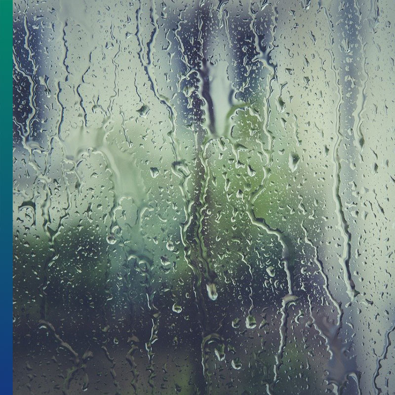 Collect Rainwater Safely and Effectively and Save on your Water Bill