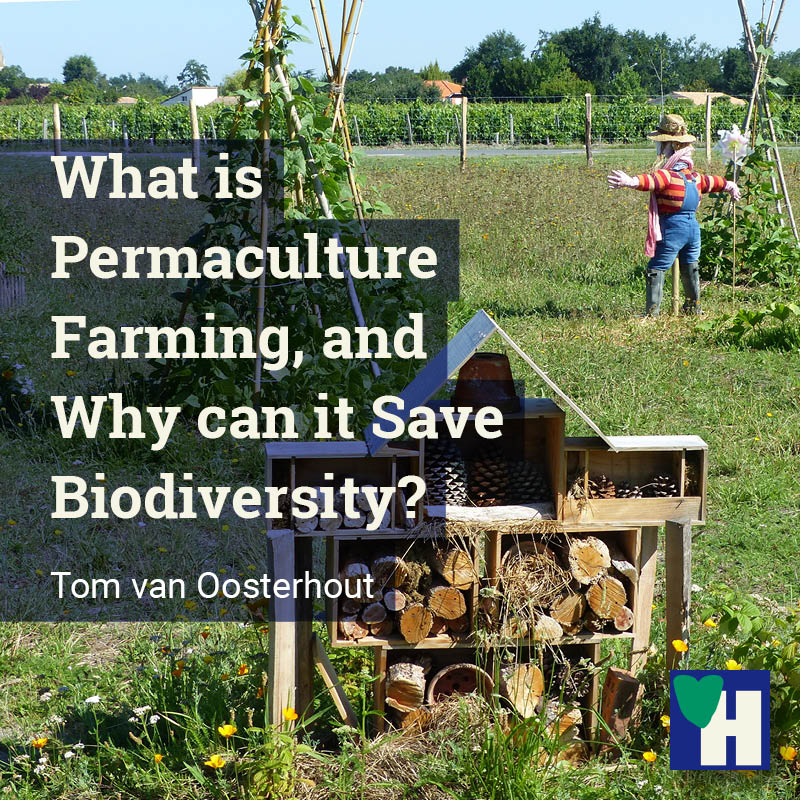 What is permaculture farming