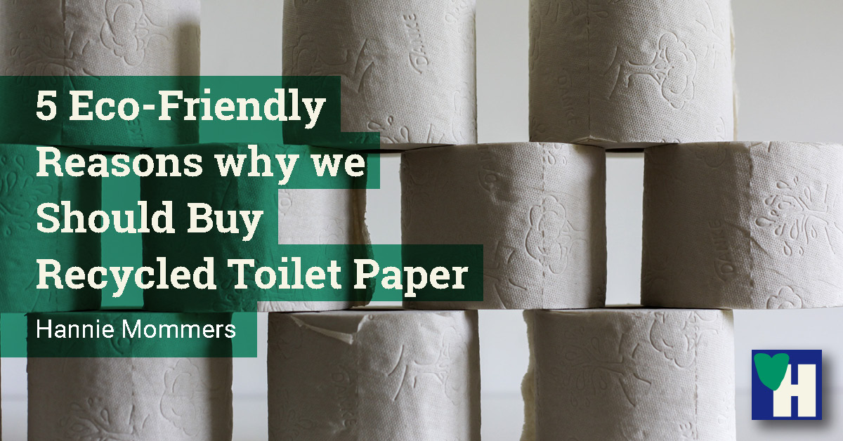 5 Eco-Friendly Reasons why we Should Buy Recycled Toilet Paper