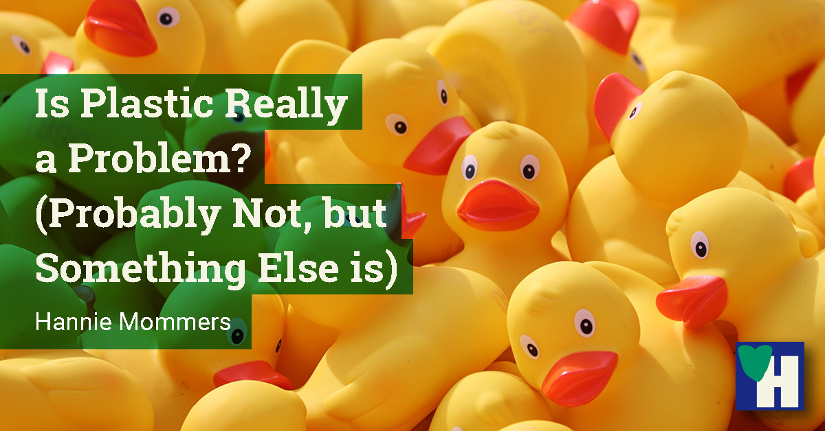 Is Plastic Really a Problem? (Probably Not, but Something Else is)