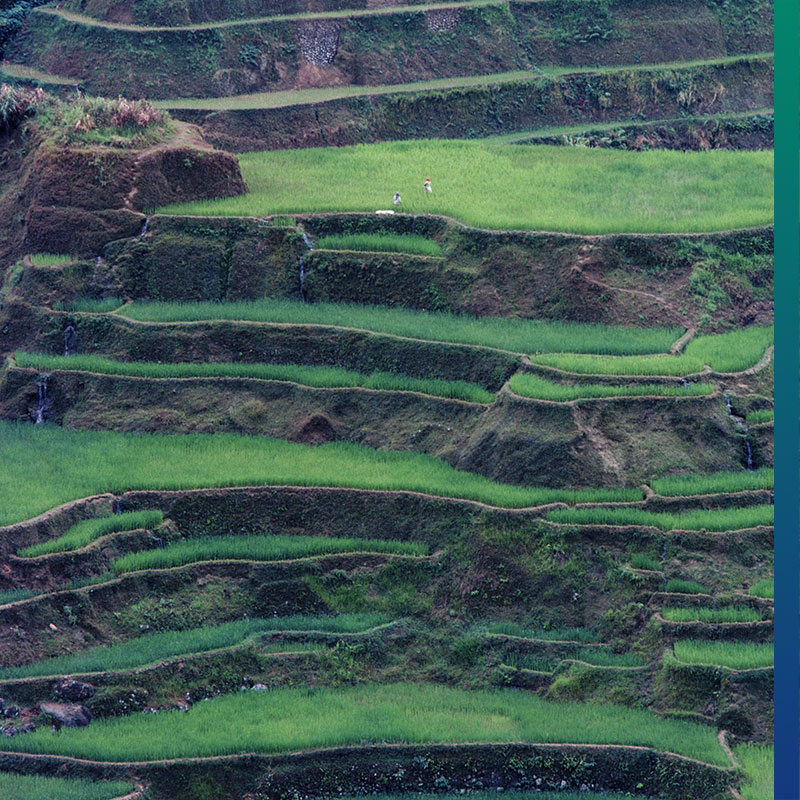 Sustainable Agricultural Practices Prevent Excessive Soil Erosion