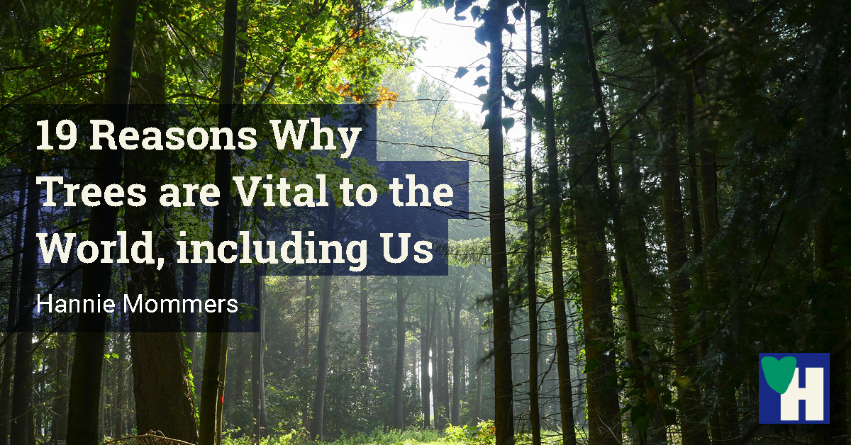19 Reasons Why Trees are Vital to the World, including Us