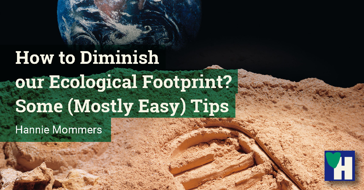How to Diminish our Ecological Footprint? Some (Mostly Easy) Tips
