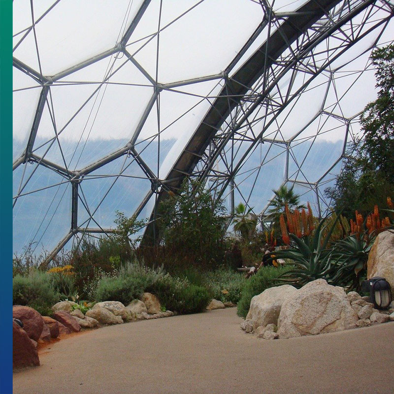 How Air Pollution Affects our Health and Destroys Flora and Fauna