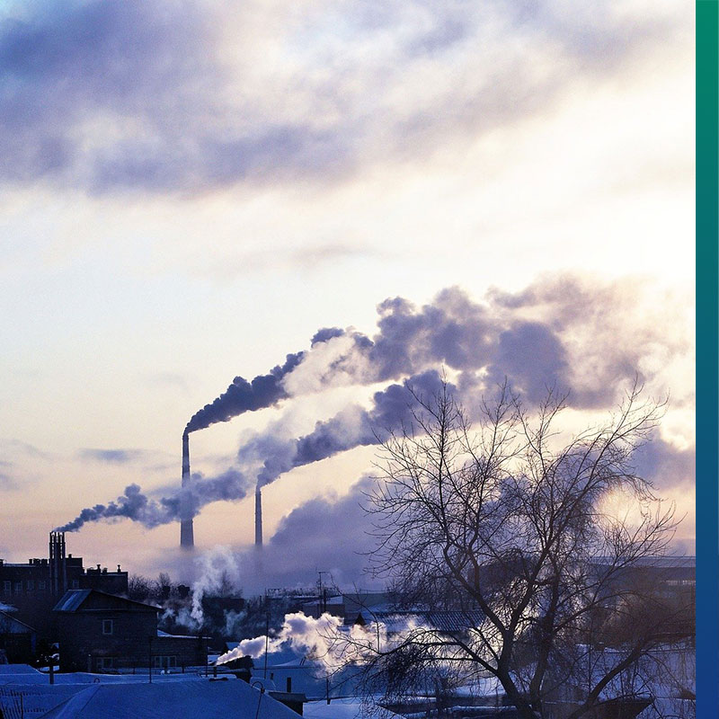 How Air Pollution Affects our Health and Destroys Flora and Fauna