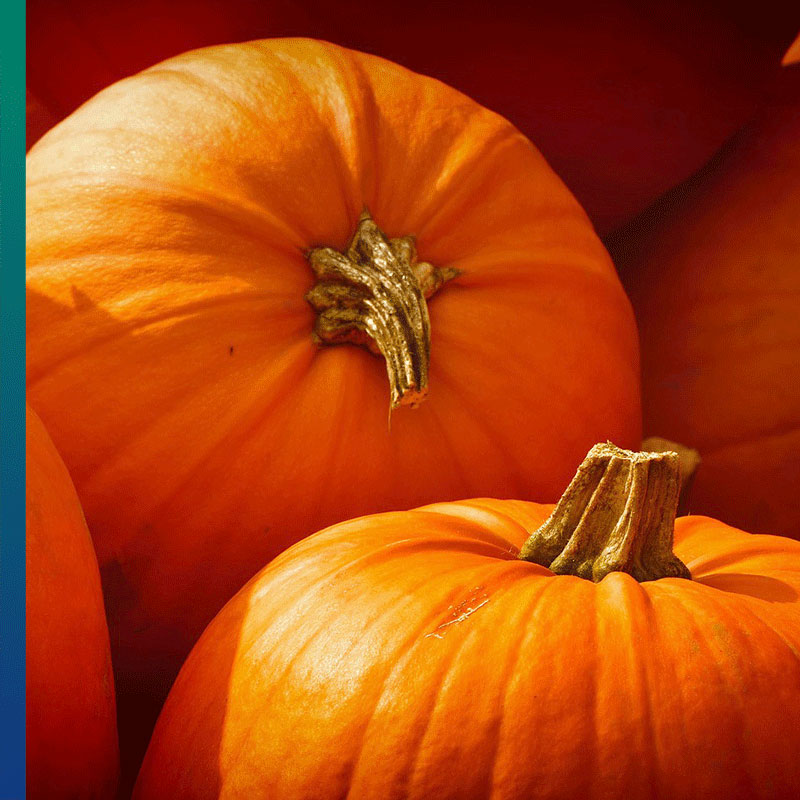 What Are the 3 Best Orange Foods we Should Eat Regularly?