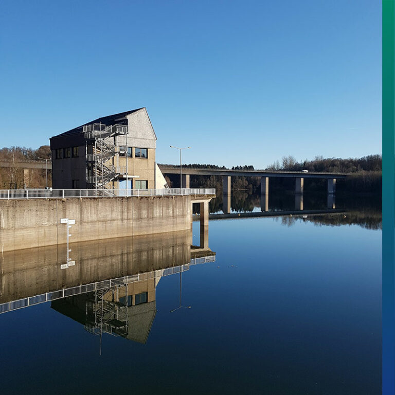 Why Water Management is Important and How We Can Contribute