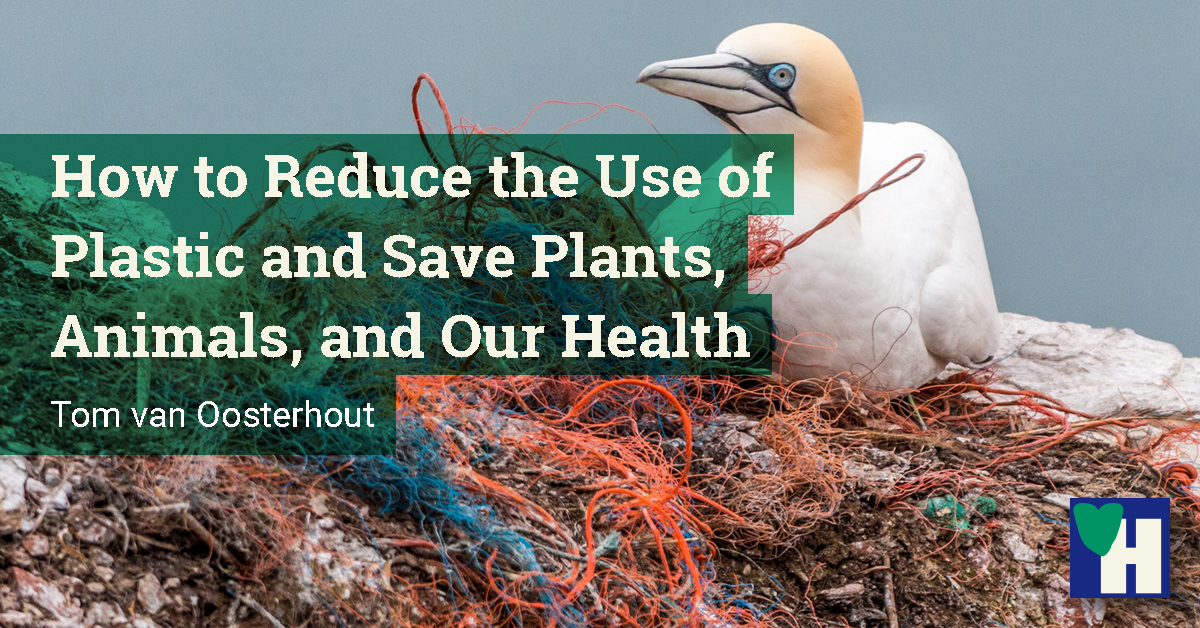 How to Reduce the Use of Plastic and Save Plants, Animals and Our Health
