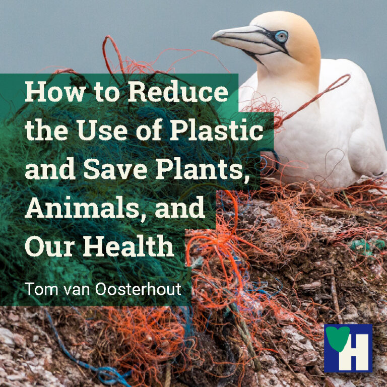 How to Reduce the Use of Plastic and Save Plants, Animals and Our Health