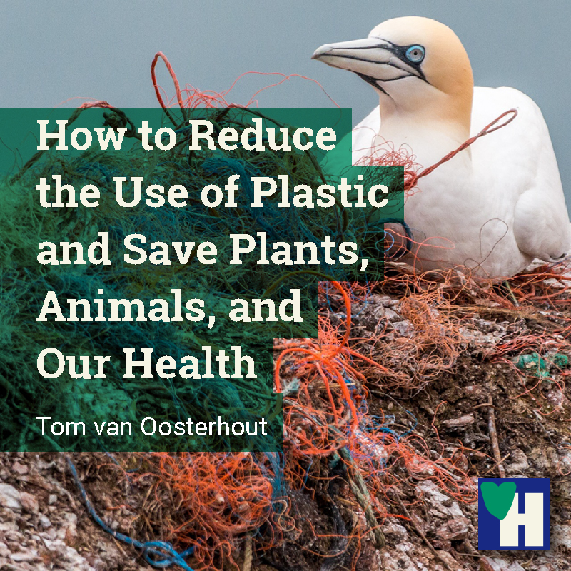 How to Reduce the Use of Plastic and Save Plants, Animals and Our Health